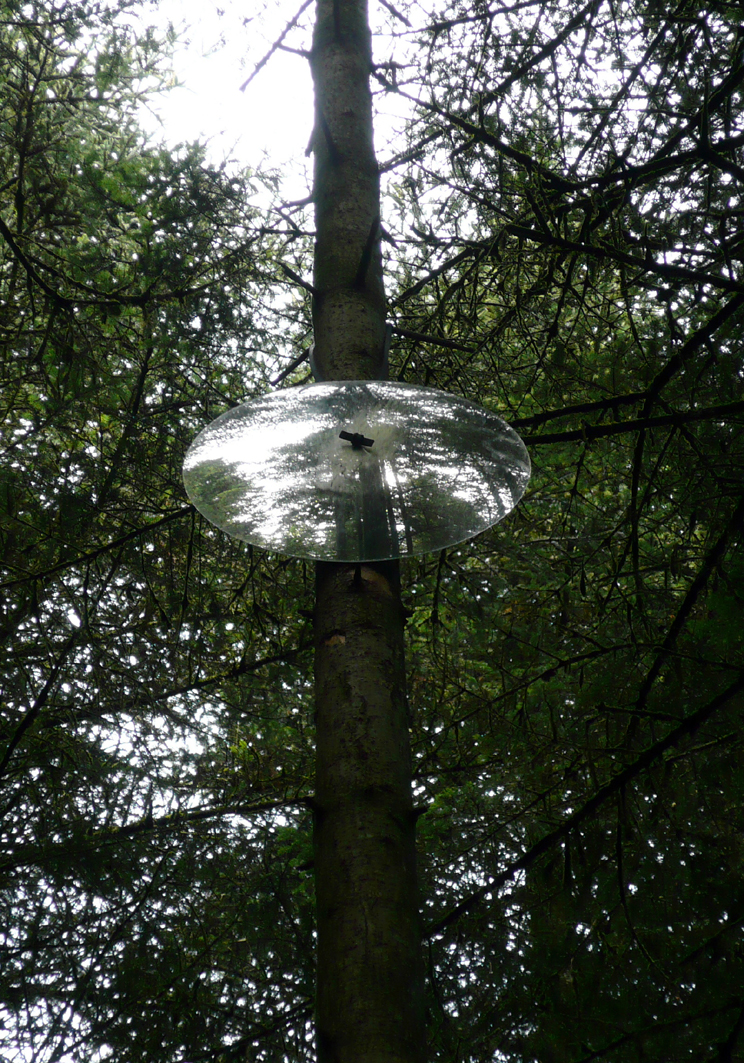 Eye For A Tree – Wido Blokland